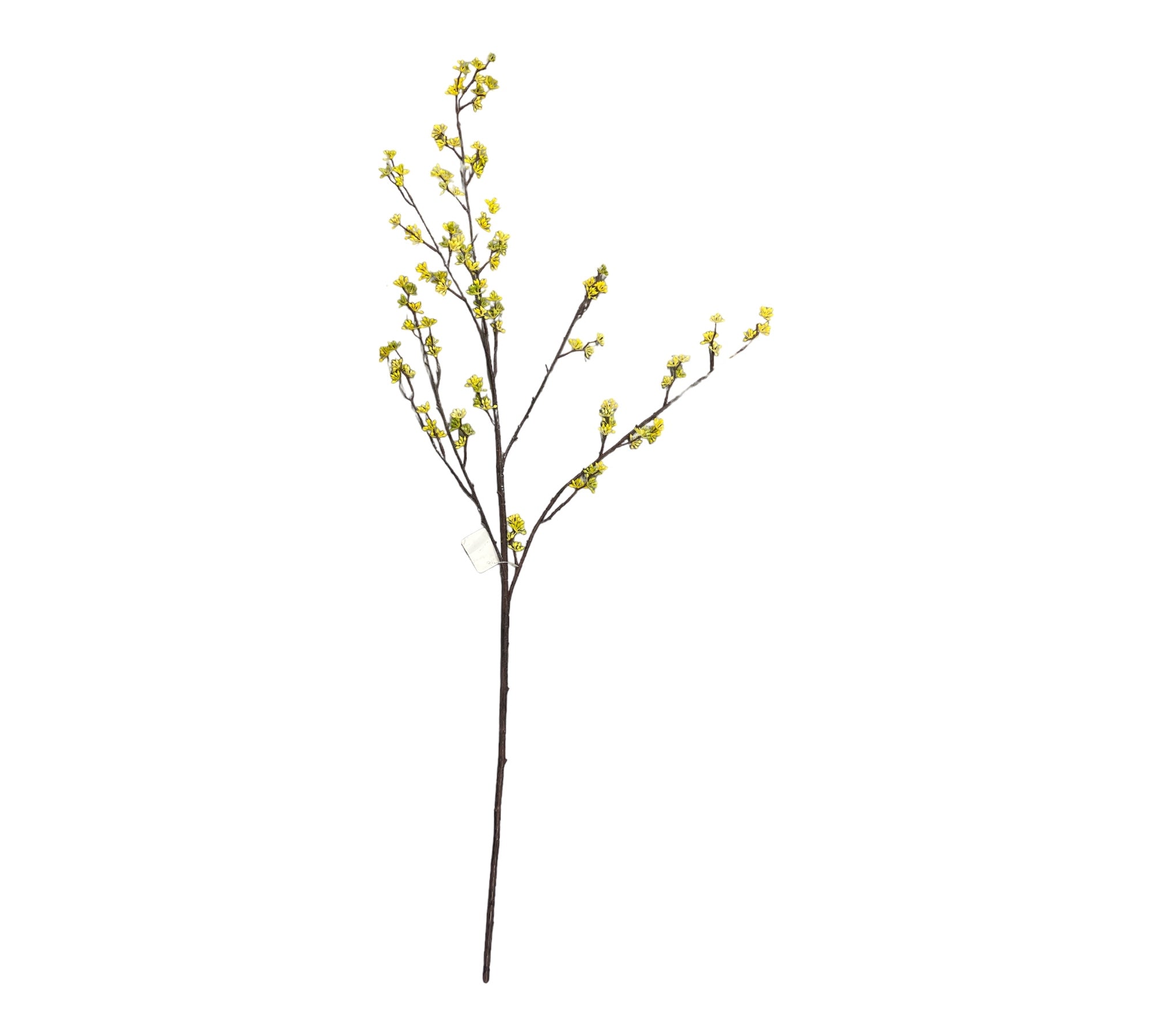 konstgjord. Forsythia kvist – asienlivs